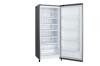 LG 5.8 Cu Ft Upright Freezer with Direct cooling system LROFC0605V ...