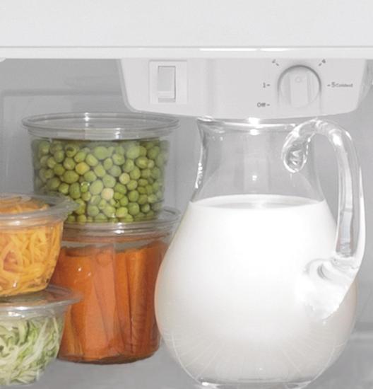 GENERAL ELECTRIC Top-freezer Refrigerator with Premium LED l
