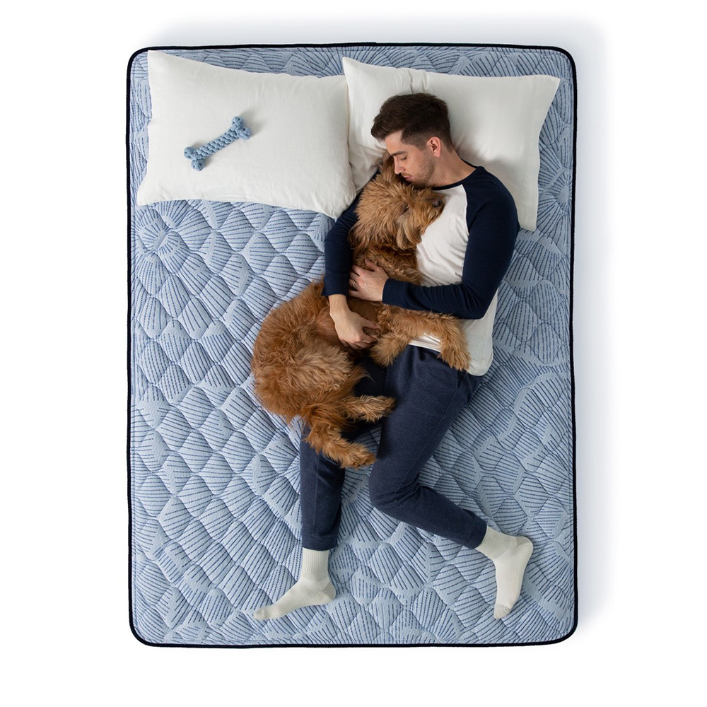 Serta Blue-Lagoon-Firm | ABC Warehouse